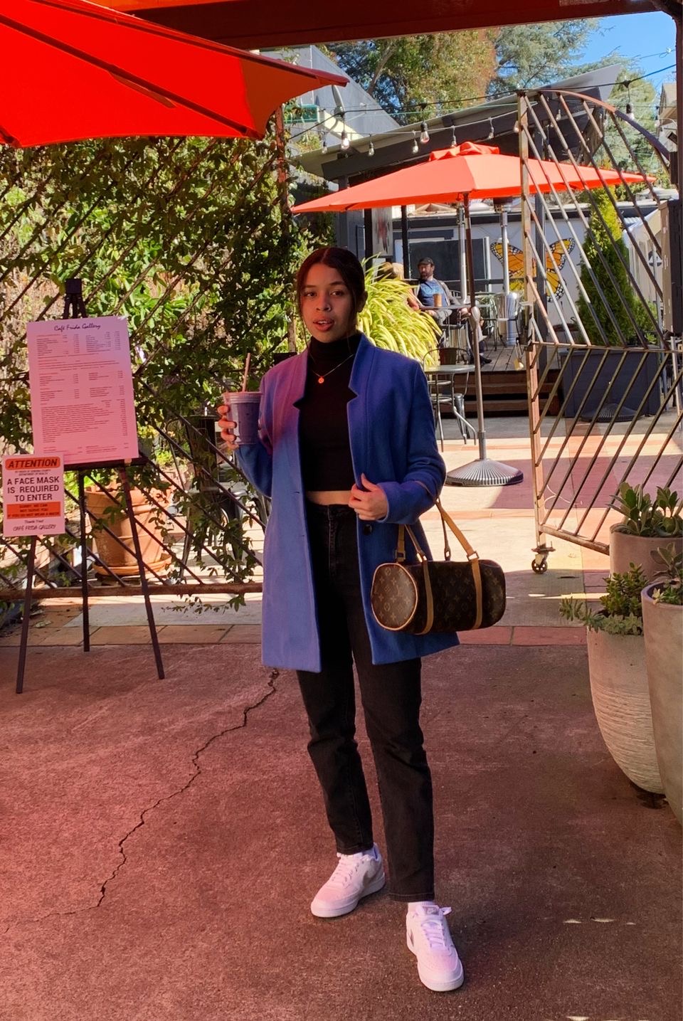 A Glimpse into the Democracy and the Informed Citizen Emerging ...